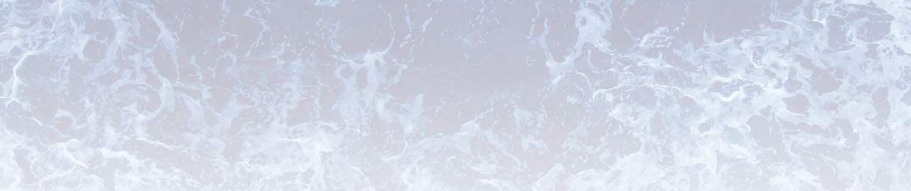 Exhibit - Clean Pacific 2019